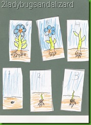 2 ladybugs and a lizard: MFW 1st Grade- Week #3